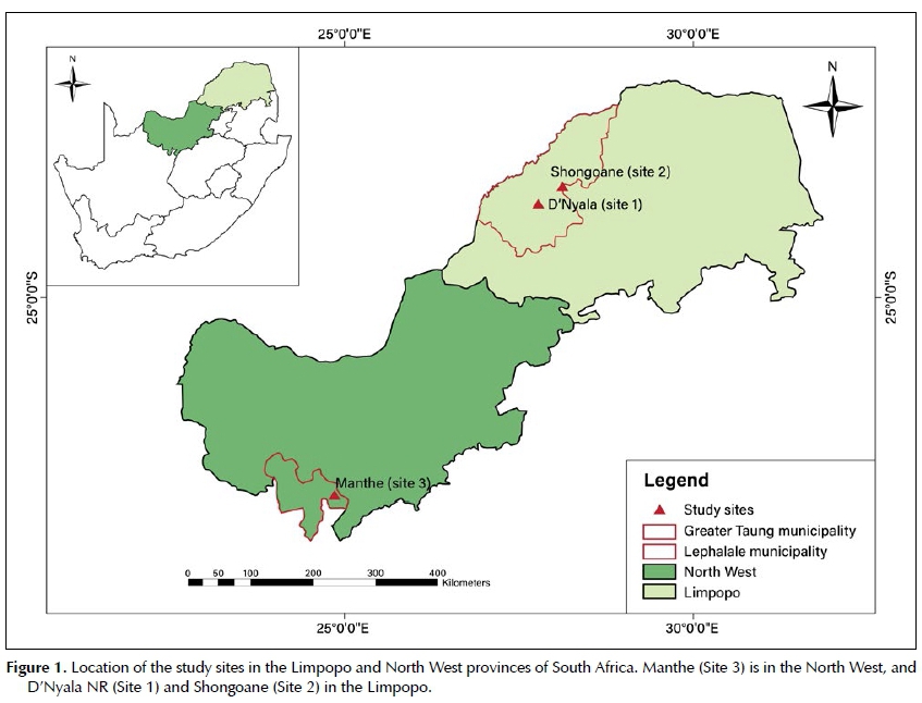 Restoration after bush control in selected range-land areas of semi ...