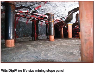 Wits, Sibanye-Stillwater join hands to take mining digital