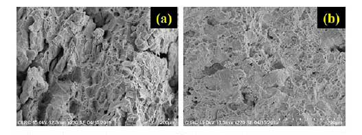 Microstructure, microhardness, and tensile properties of hot-rolled ...