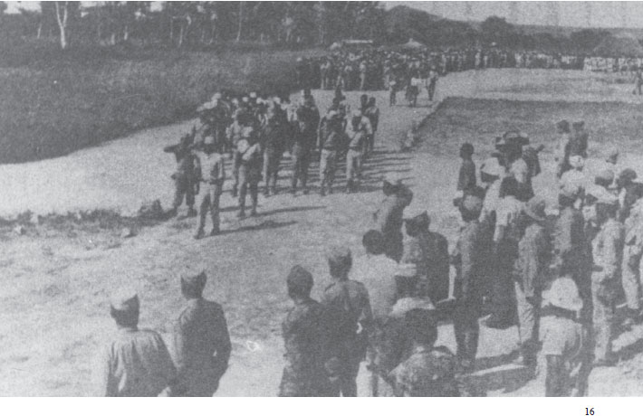 'Remember Cassinga?' an exhibition of photographs and histories