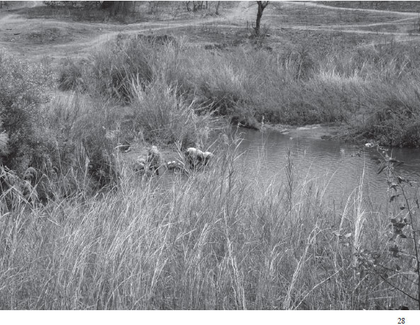 'Remember Cassinga?' an exhibition of photographs and histories