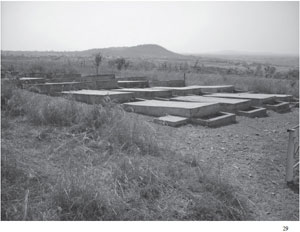 'Remember Cassinga?' an exhibition of photographs and histories