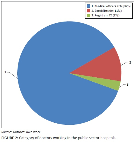 Geographical distribution and profile of medical doctors in public ...