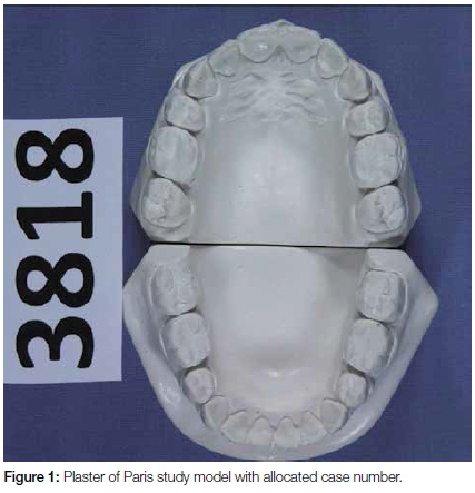 Mark Plaster's Instagram, Twitter & Facebook on IDCrawl