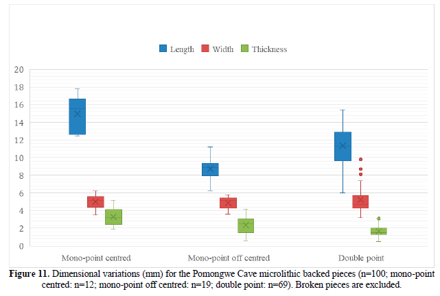 Morphological and functional variability of the geometric microlithic ...