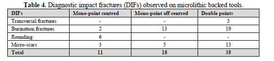 Morphological and functional variability of the geometric microlithic ...