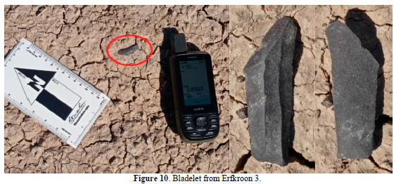 Archaeological survey of the Modder River dongas, Free State, South Africa