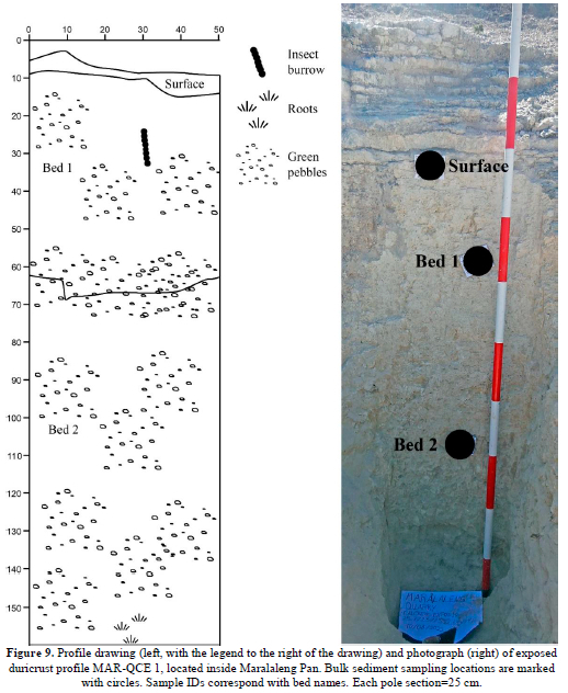 Dune, outcrop, and pan sediments from the southern Kalahari Basin: A ...