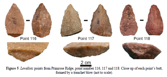 The points from Primrose Ridge: A possible Still Bay workshop on the ...