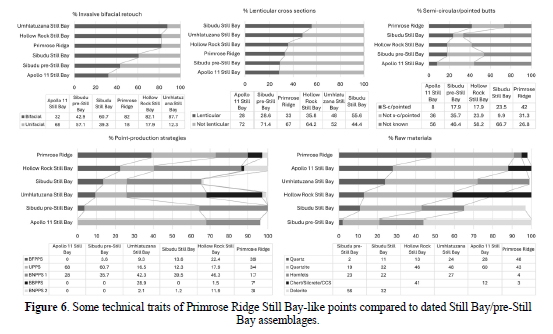 The points from Primrose Ridge: A possible Still Bay workshop on the ...