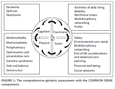 A 'COMMON SENSE' approach to geriatric patients in clinical practice