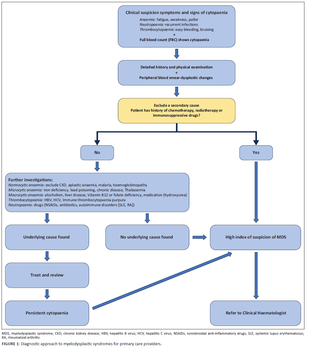 Myelodysplastic syndromes: A primary care perspective