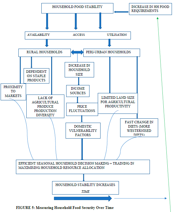 Relating Household Food Systems to Food Security Indicators: An Overview