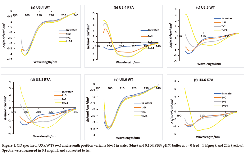 Application of Derandomisation to Uperin 3.x Peptides Circular ...