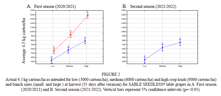 Ripening Trends of Vitis vinifera L. cv Sugrasixteen (SABLE SEEDLESS ...