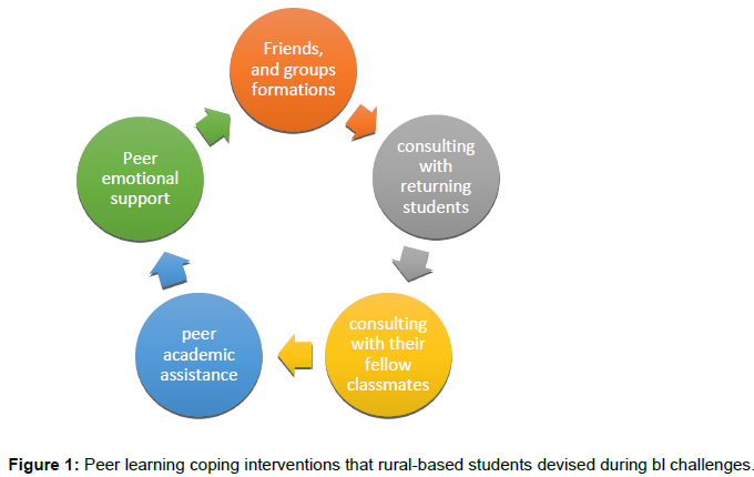 Peer support interventions in the time of crisis: peer-based adaptation ...