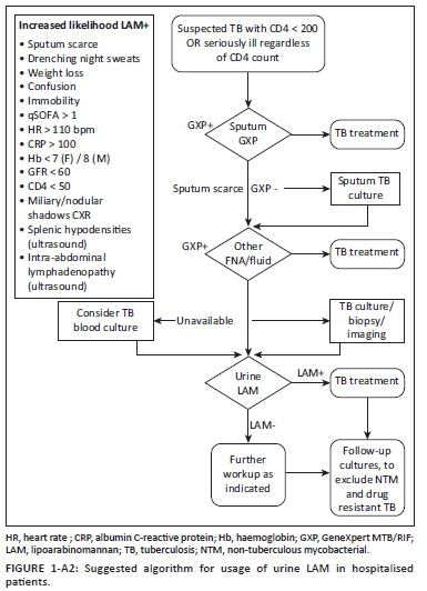 Clinical, radiological, and laboratory predictors of a positive urine ...