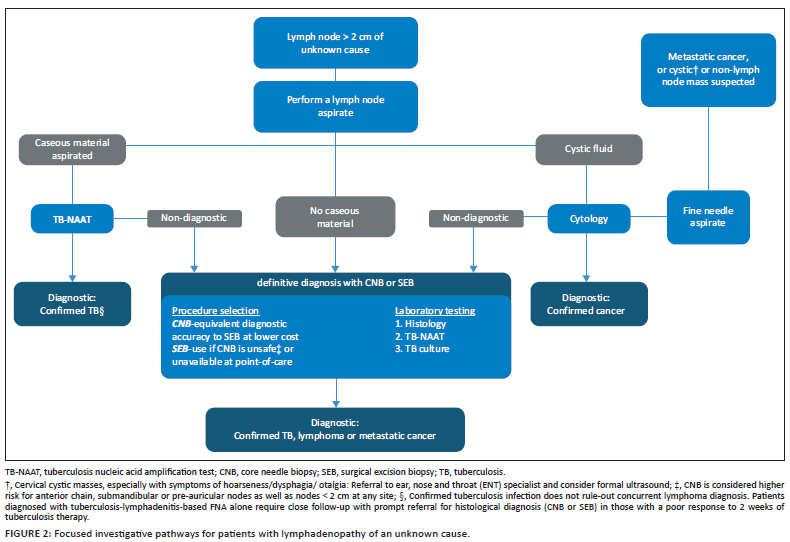 The diagnostic pathway to lymph node excision biopsy in an HIV- and ...