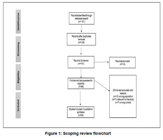 Digital competencies among the greying population: a scoping review