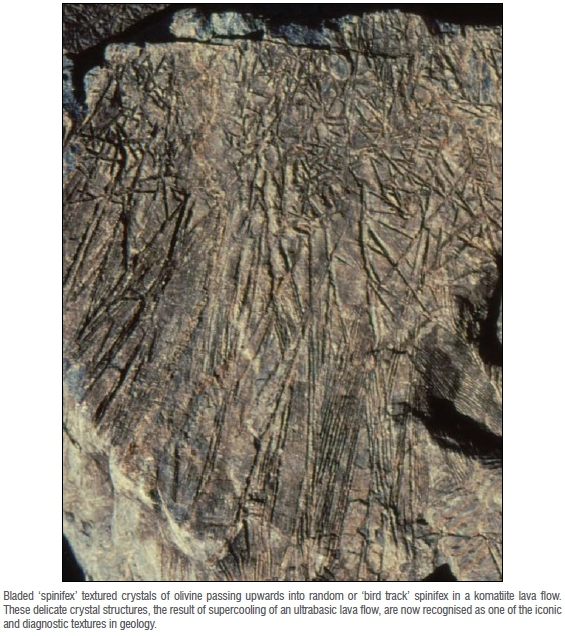 Komatiite Igneous Rock