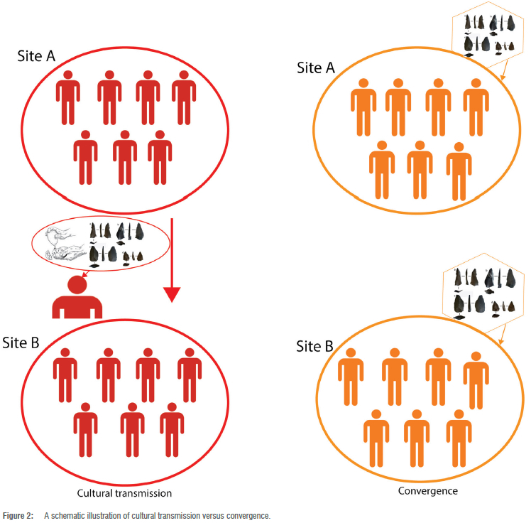 Middle Stone Age social connectivity: Can stone tools indicate the ...