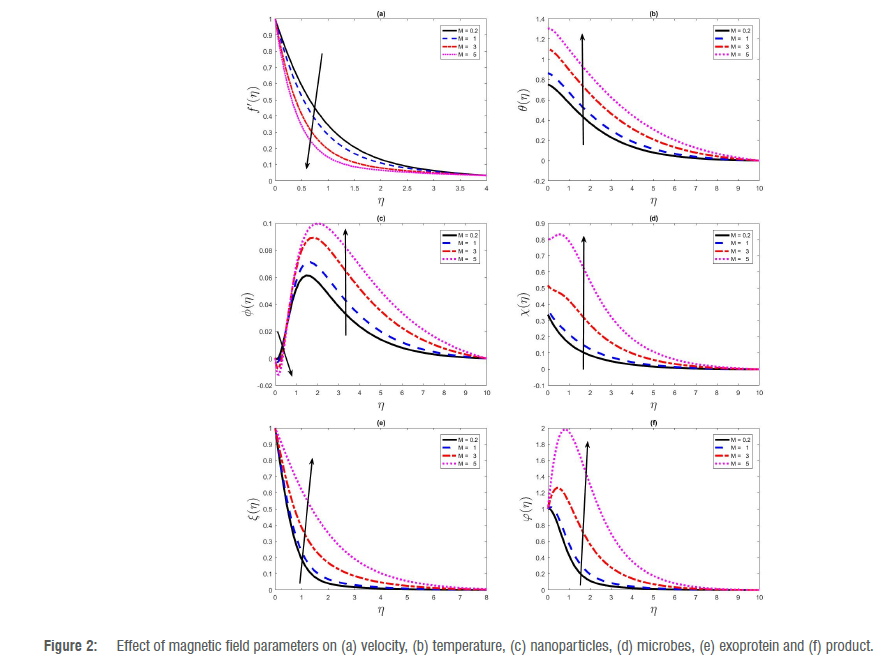 A two-dimensional Darcy-Forchheimer mathematical model for ...